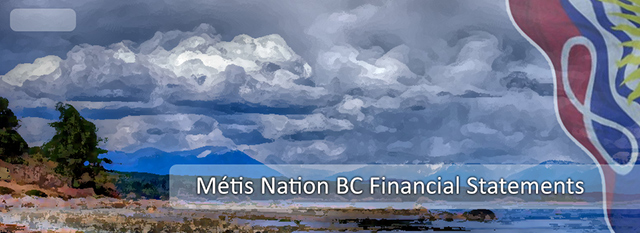 Metis Nation British Columbia Financial Statements - BC M...